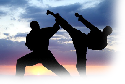 Australian Karate Federation Tasmania – The Home of Karate-do in Tasmania