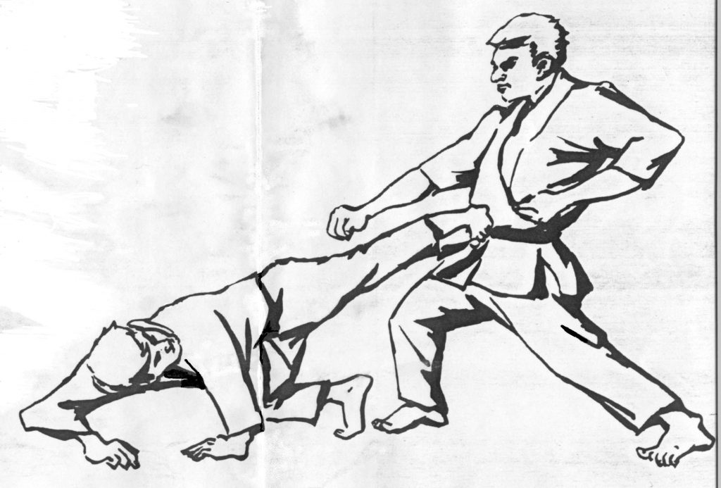 Australian Karate Federation Tasmania – The Home of Karate-do in Tasmania