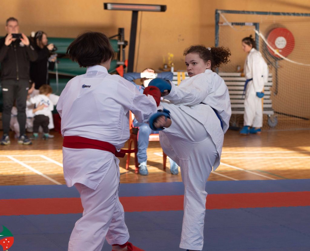 Australian Karate Federation Tasmania – The Home of Karate-do in Tasmania